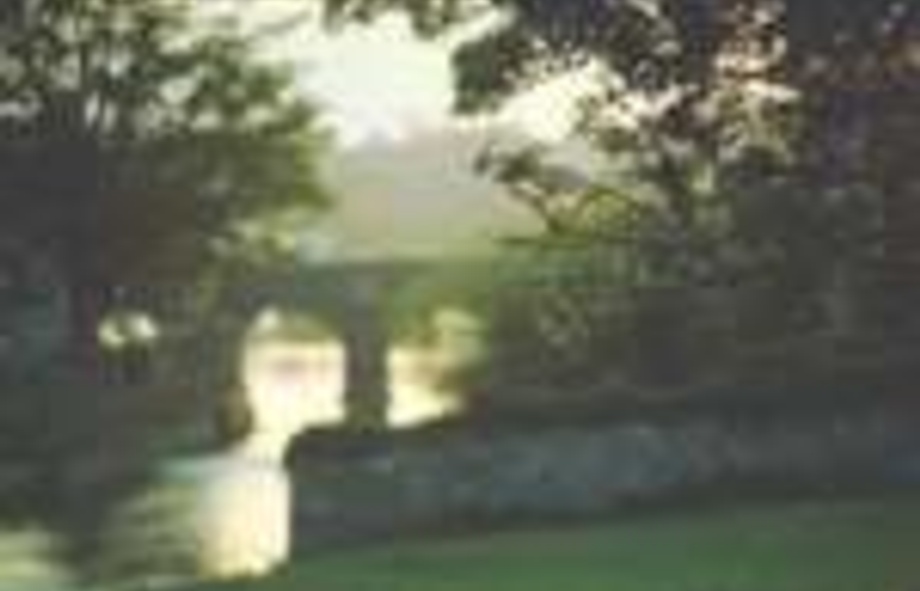 Trim (Co. Meath) - Irish Franciscans